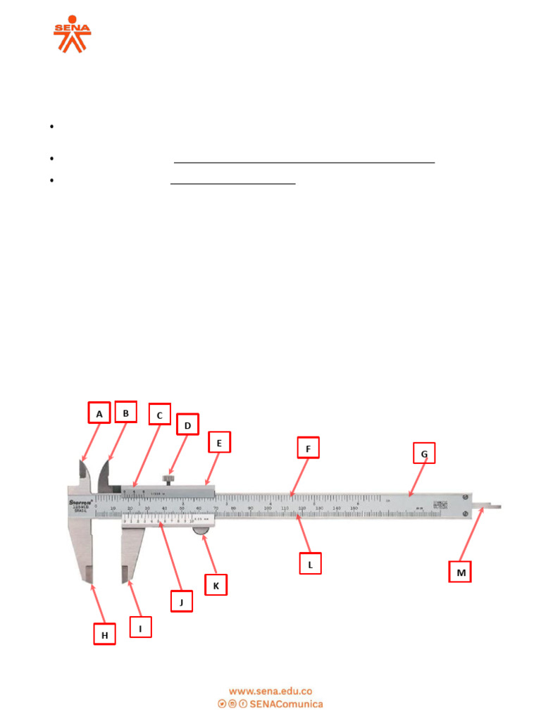 Formato Plan Mto | PDF