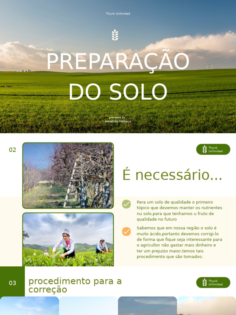 Amanda Velasco Apresentação | PDF