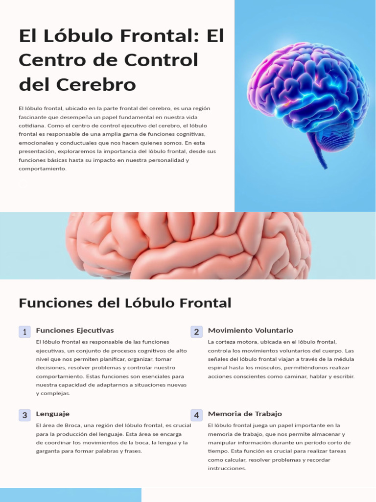 El Lobulo Frontal | PDF