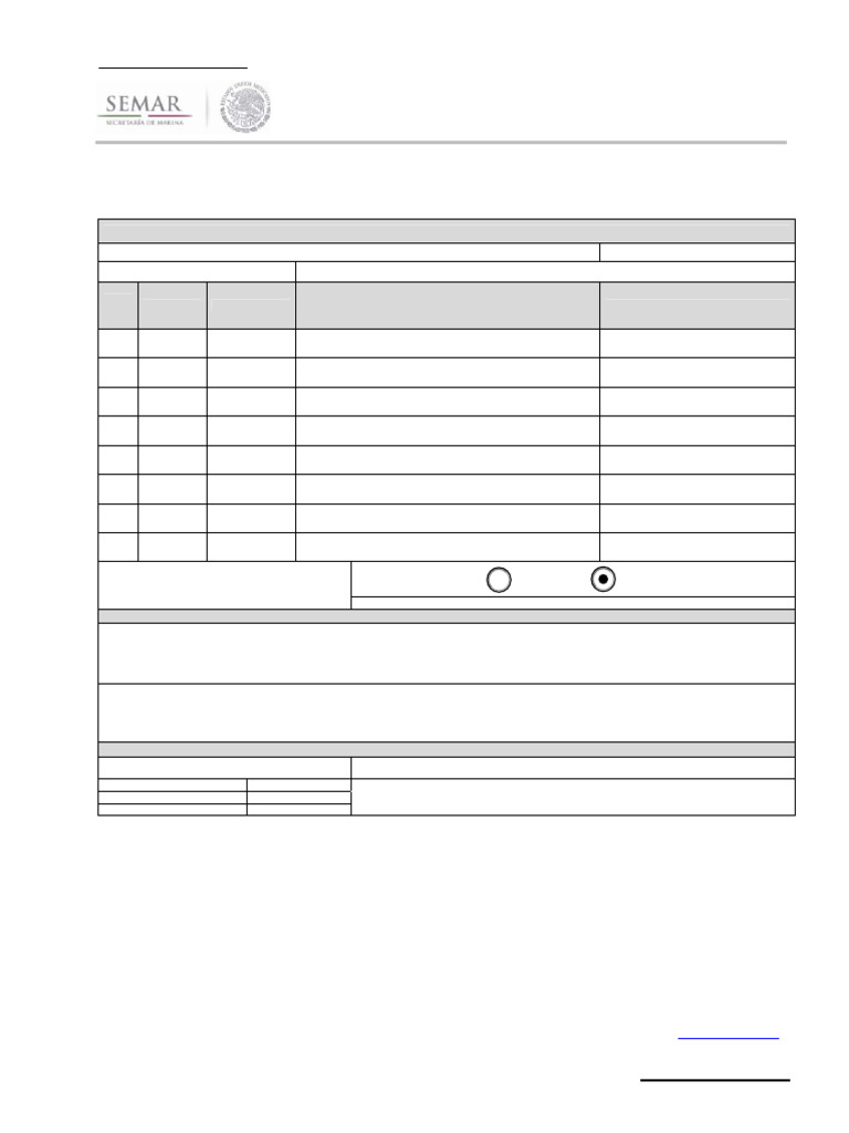 Formato Tics Vallarta 1 | PDF
