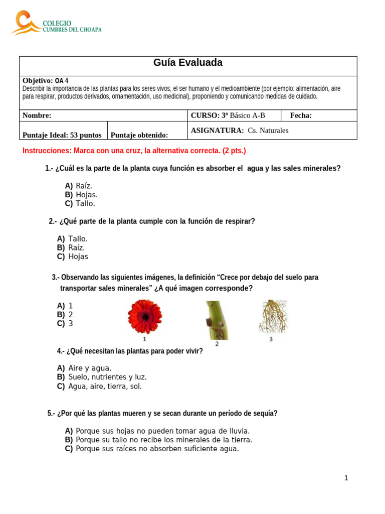 Guia - Eval - Las - Plantas - 0 | PDF | Plantas | Hogar, jardinería y bricolaje