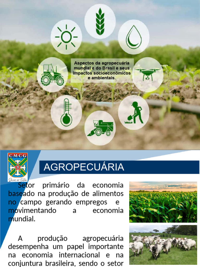 ESPAÇO RURAL - AULA 1 | PDF