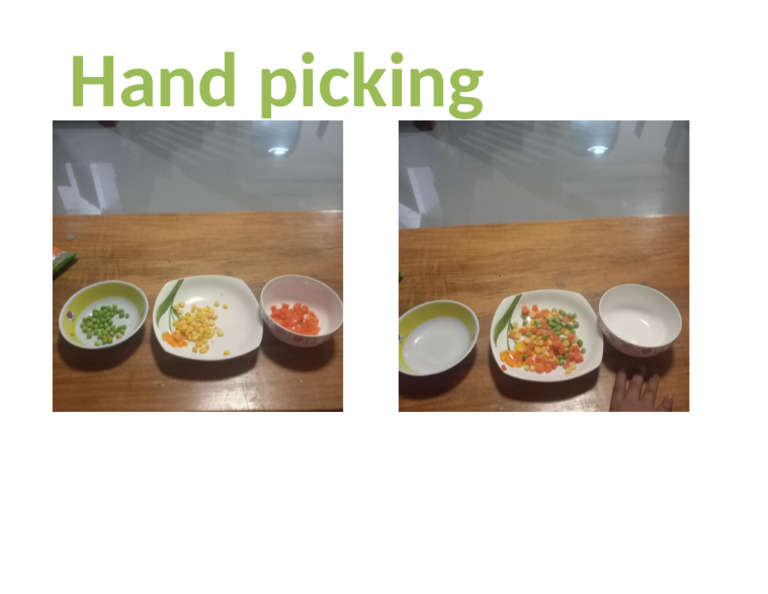 Hand Picking | PDF