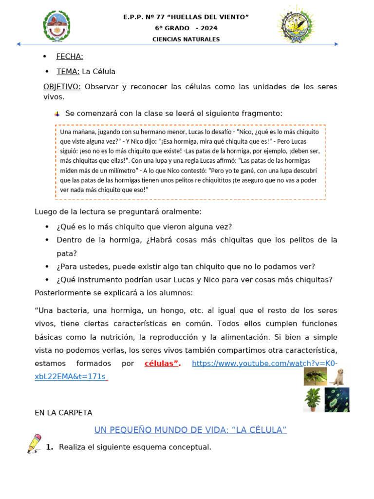 Clase 3 CS Nat | PDF