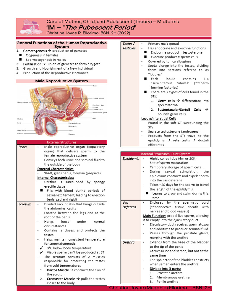 Maternity Midterms 1M 4M | PDF