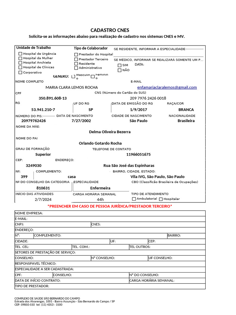 Formulário Cnes 2024 | PDF