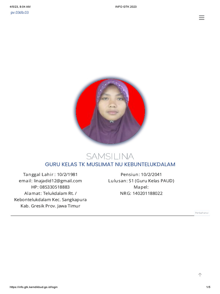 INFO GTK 2023 Samsilina | PDF