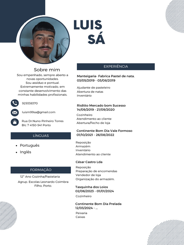 CV Luis | PDF