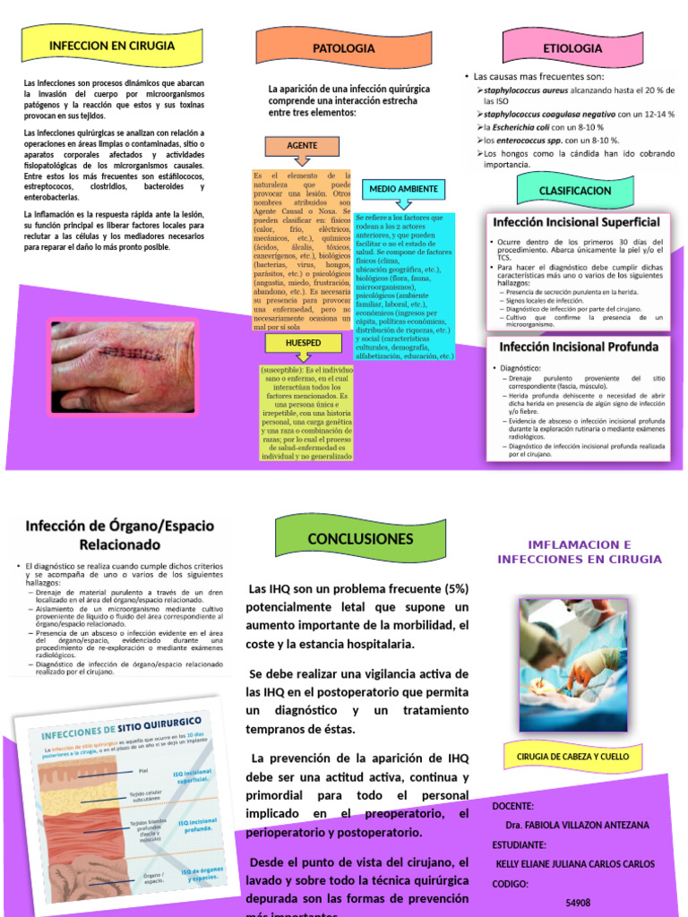 Triptico Infeccion | PDF