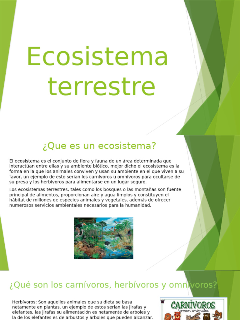 Ecosistema Terrestre (Biologia) | PDF