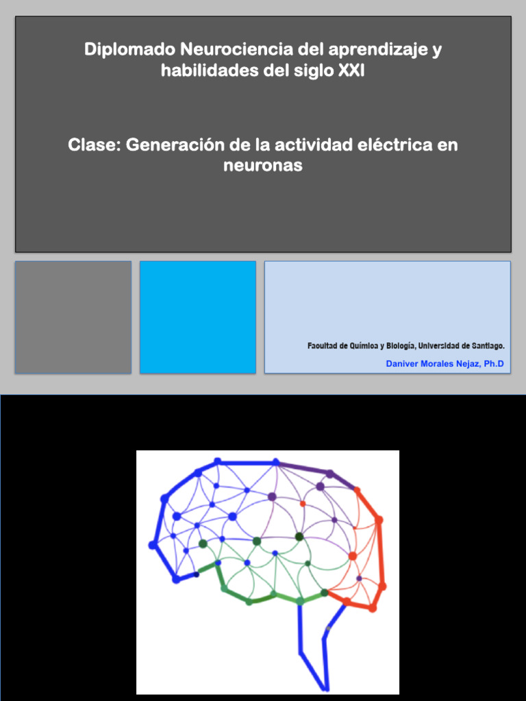 Clase Generacion Actividad Electrica Neuronas Diplo Neurociencia Aprendizaje | PDF