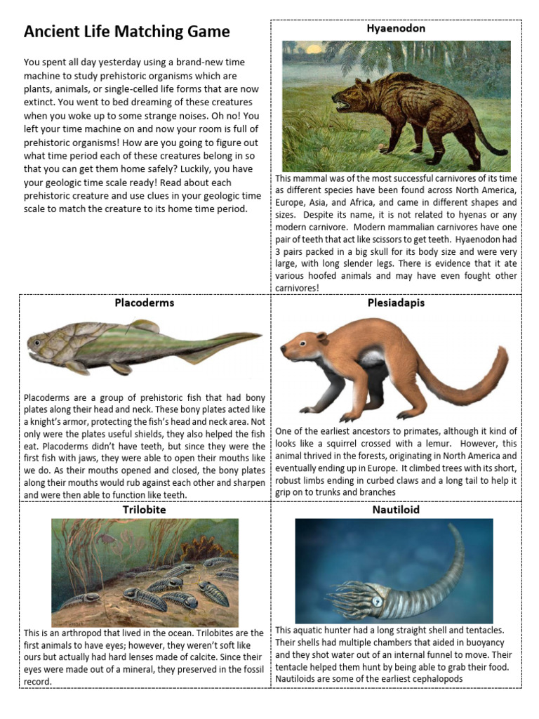 Paleo Matching Cards | PDF | Mammals | Whales