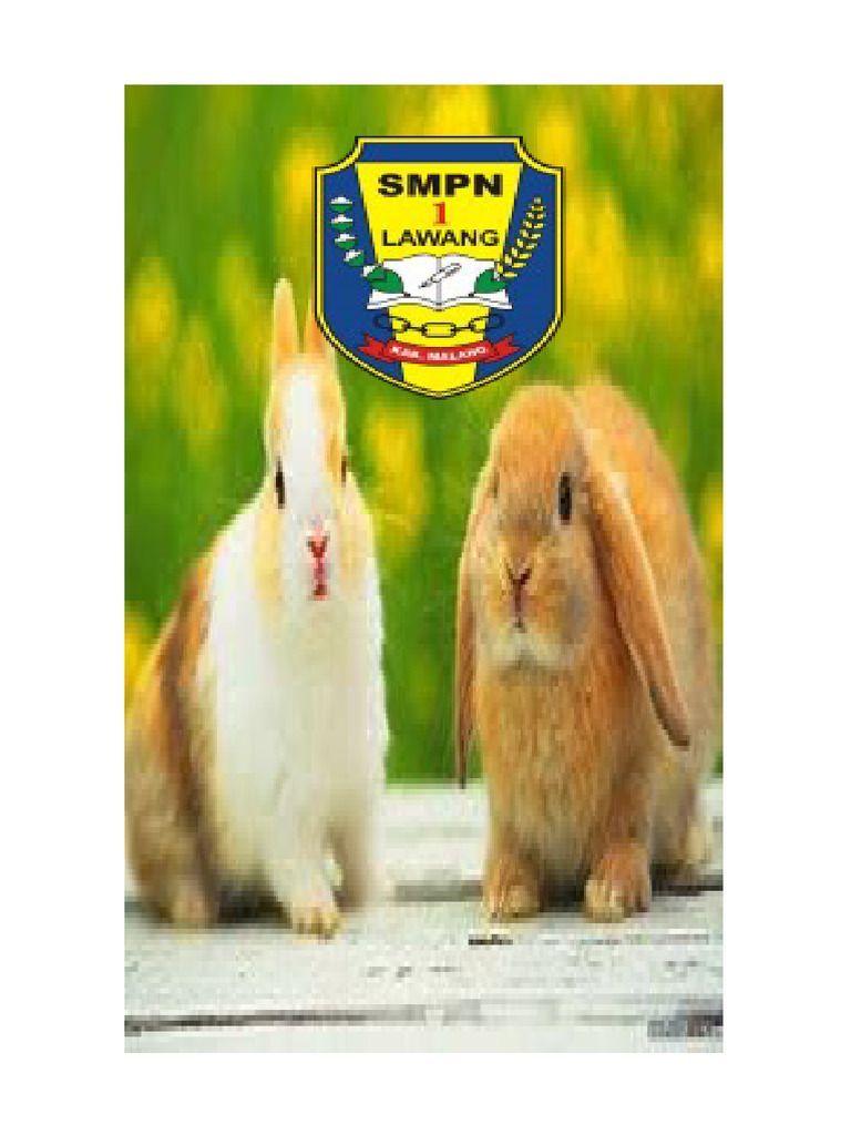 Budidaya Ternak Kesayangan | PDF