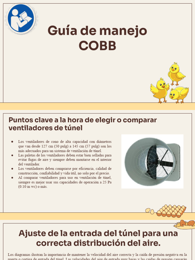 Guía de Manejo COBB | PDF