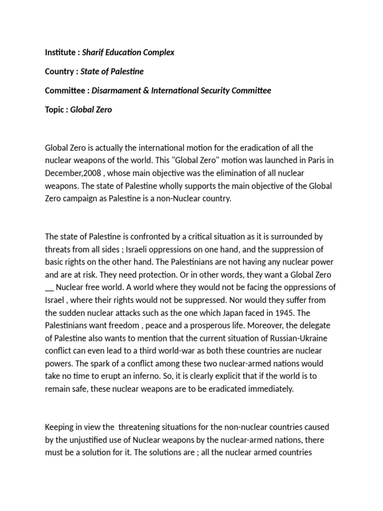 DISEC Position Paper | PDF