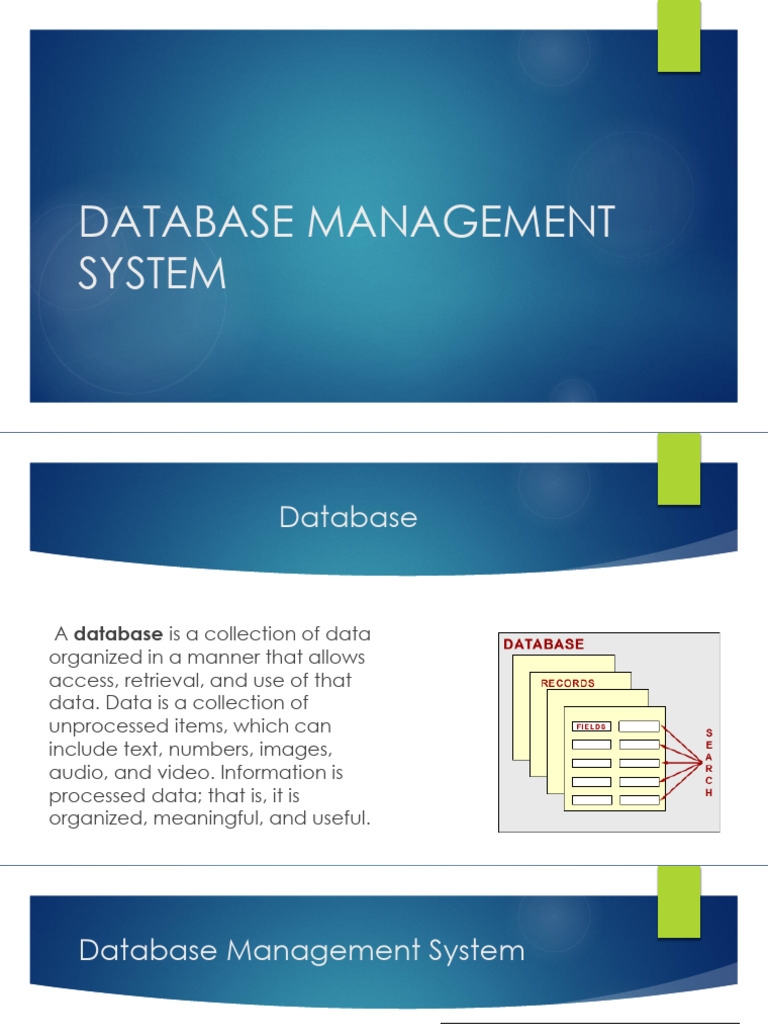 DBMS Essentials for IT Professionals | PDF | Databases | Information Retrieval
