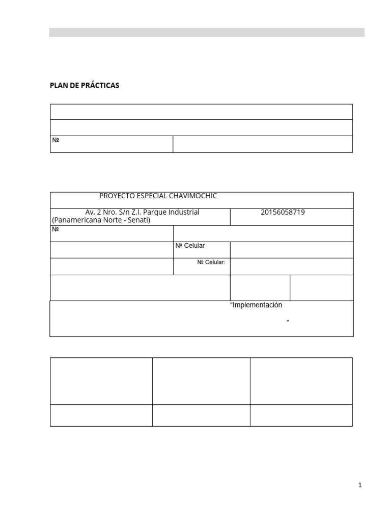 PLAN DE PRACTICAS PECH | PDF