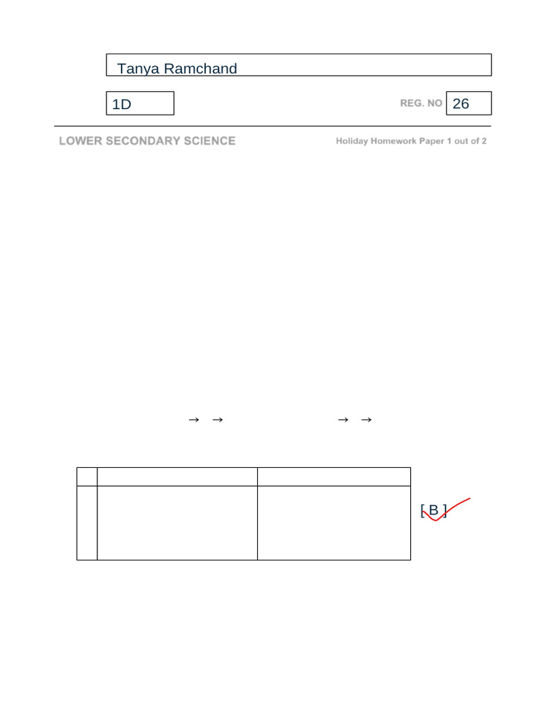 LSS Sec 1 G2 G3 June Holiday HW 2024 (1) - Marked | PDF