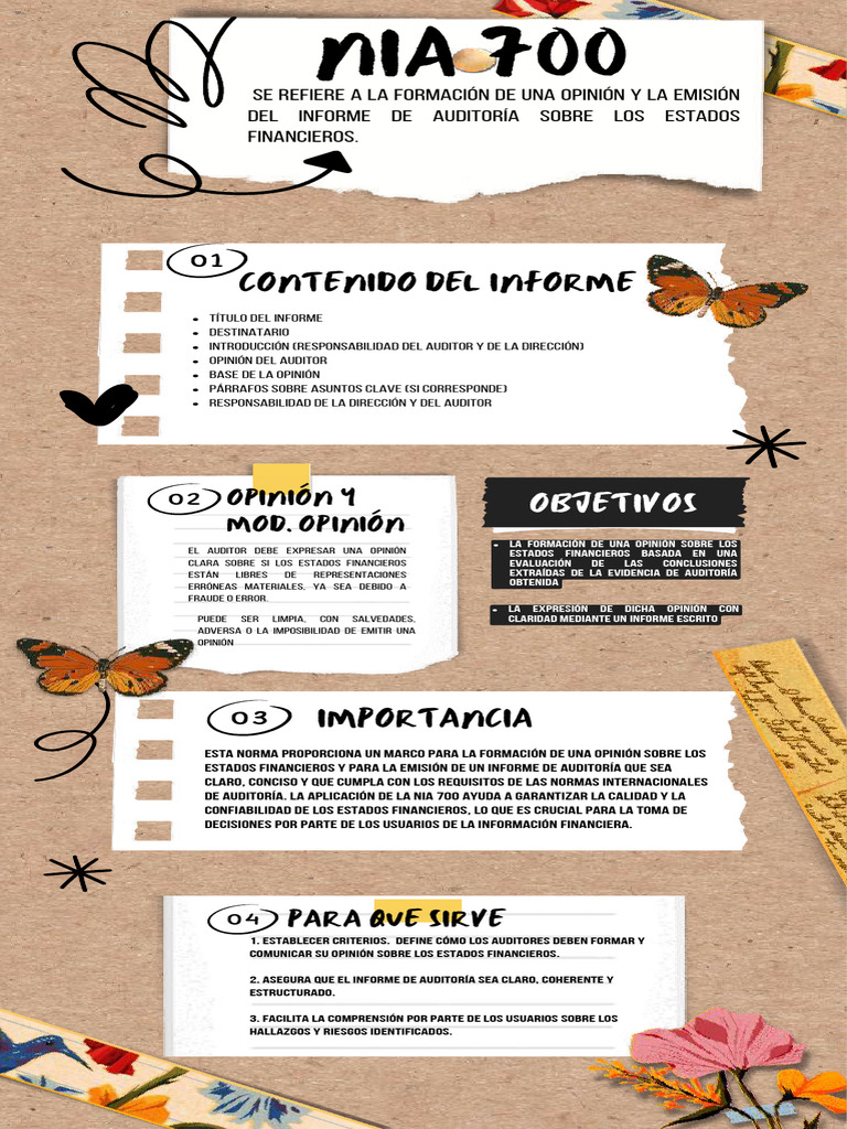 Auditoría 2 Nia 700 | PDF