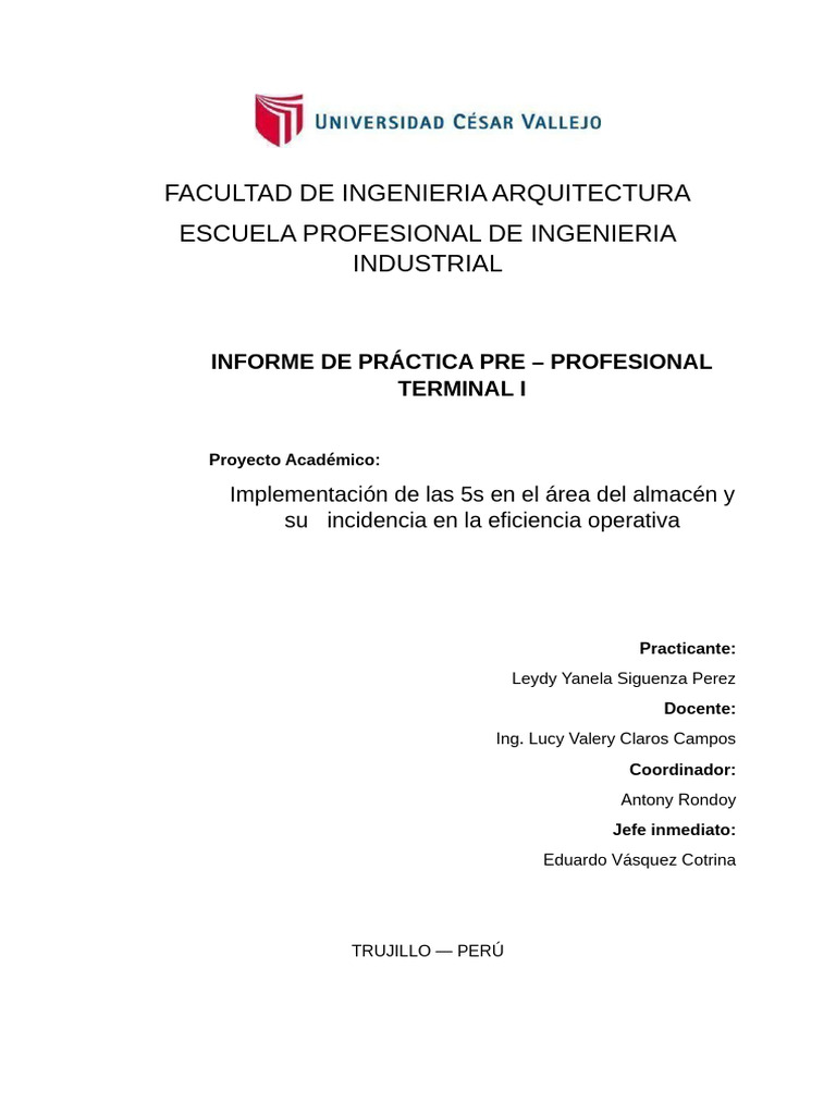 Informe Practicas Pre LSP | PDF