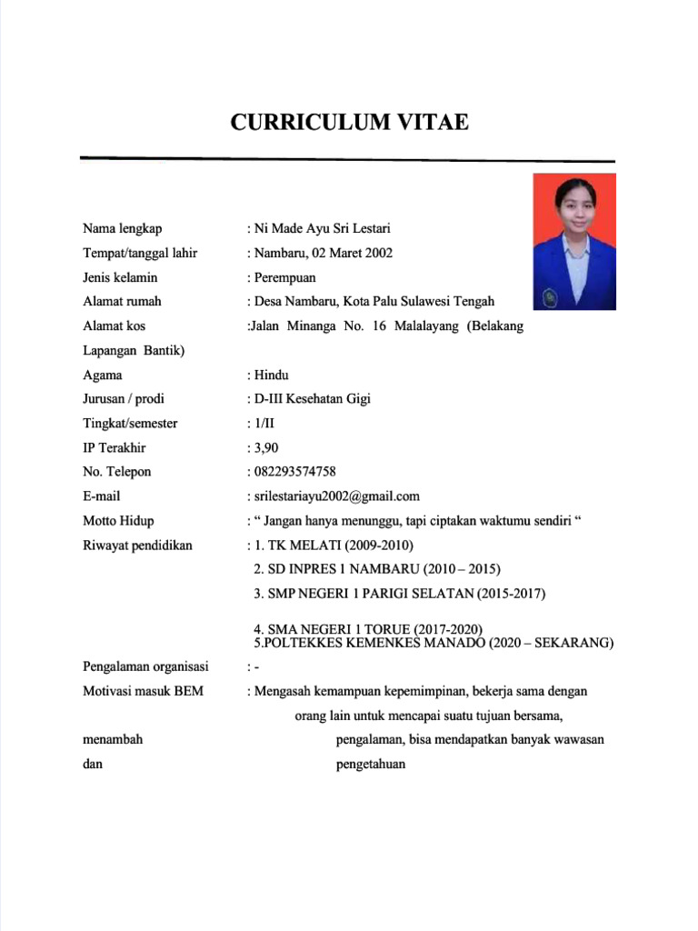 pdf-cv-bem_compress | PDF