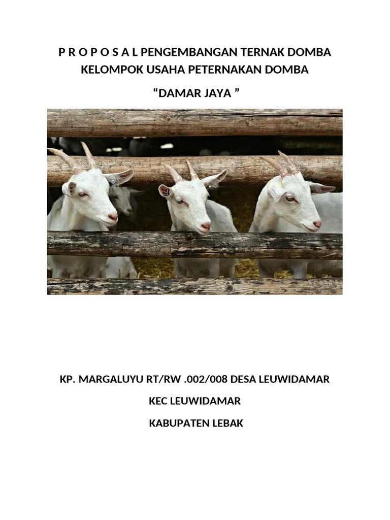 Proposal Bantuan Ternak Domba Lebak | PDF | Cooking, Food & Wine | Wellness