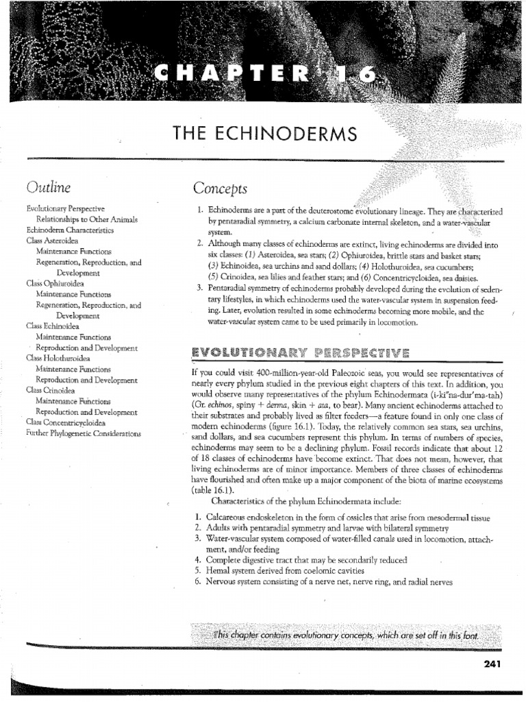 Echinoderm Chapter | PDF