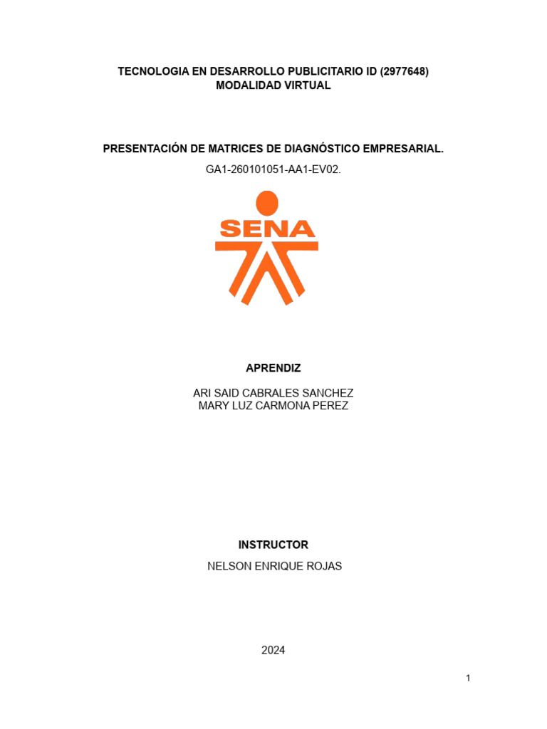 Matrices De Diagnostico Pdf