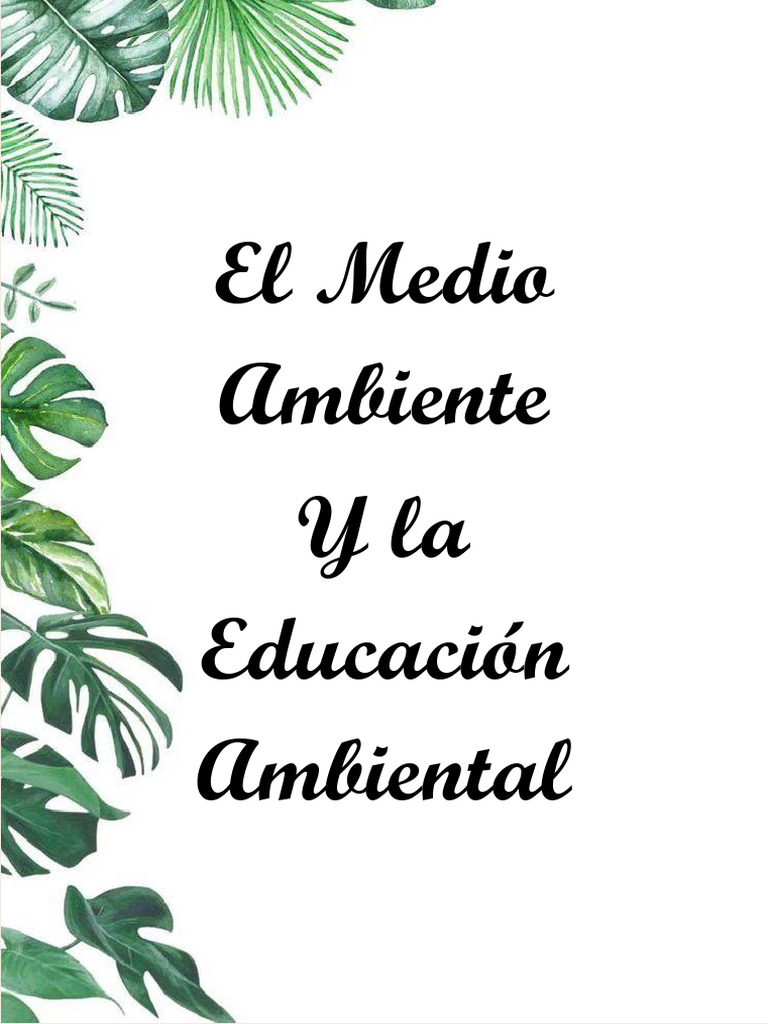 El Medio Ambiente | PDF