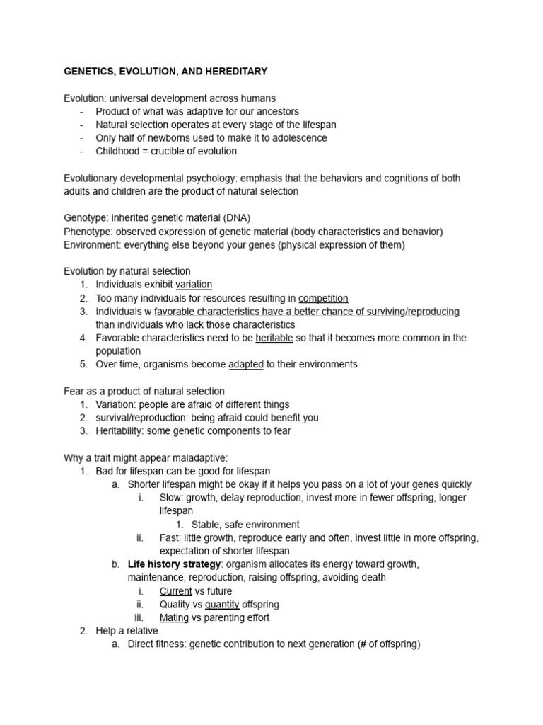 Dev Psych Chapter 3 Lecture | PDF