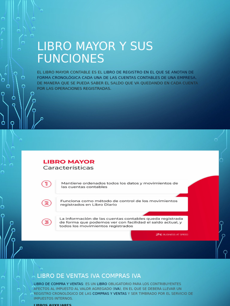 Libro Mayor y Sus Funciones | PDF