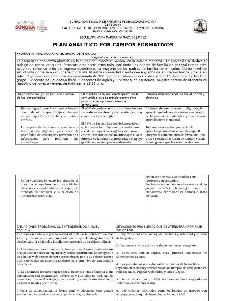Programa Análitico 5to | PDF