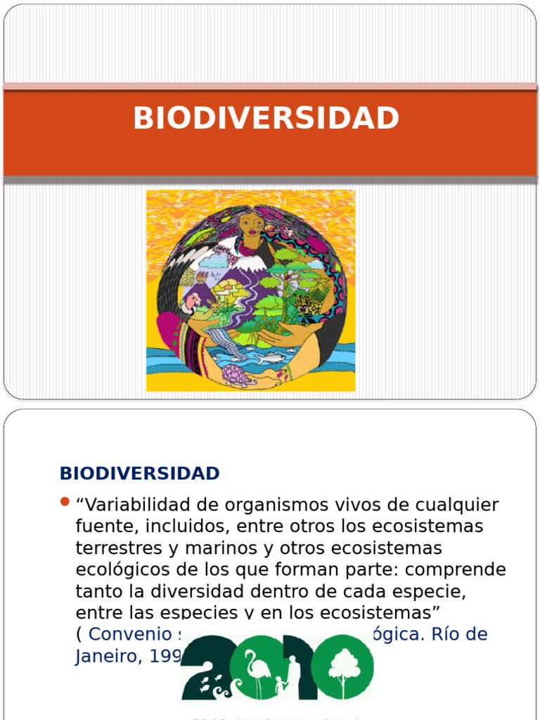 Biodoversidad en El Mundo | PDF | Biodiversidad | Ecosistema