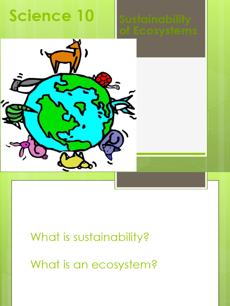 Powerpoint Biodiversity Online Learning Compressed Pdf Food Web