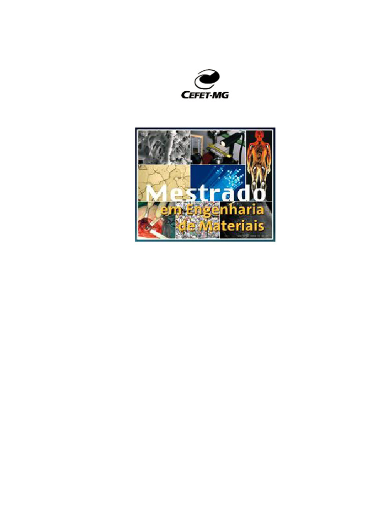 Dissertao Mestrado - Breno Ribeiro Verso Final | PDF