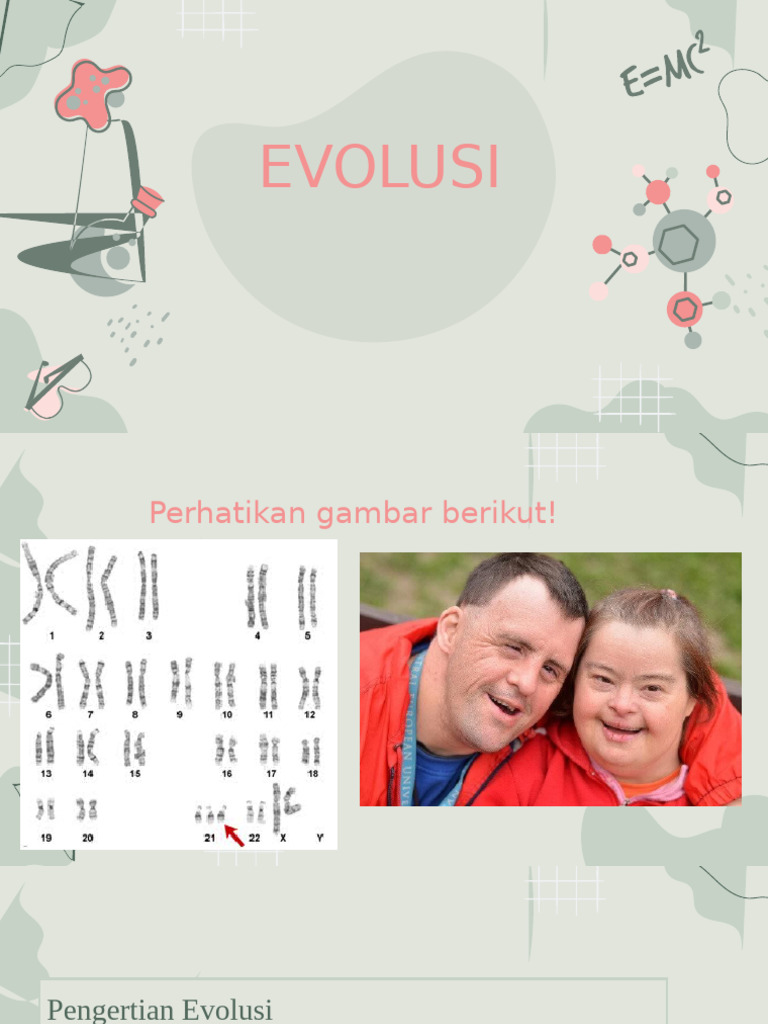 EVOLUSI | PDF