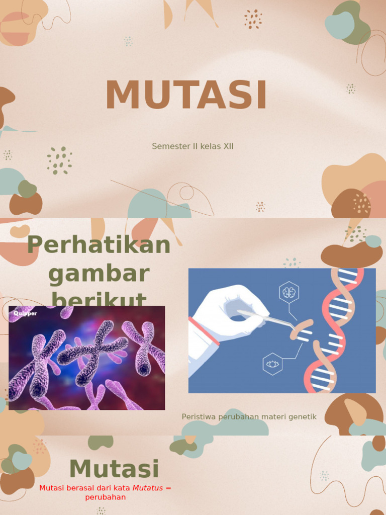 Mutasi Xii | PDF