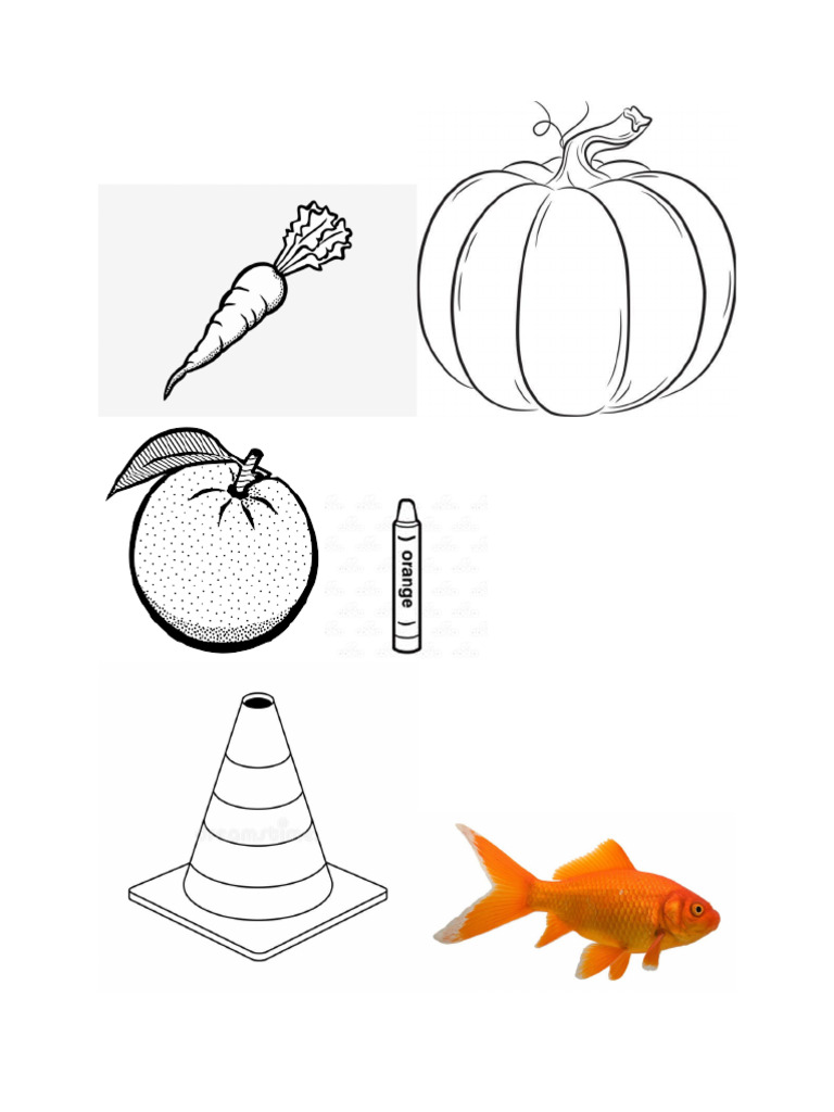 Orange | PDF