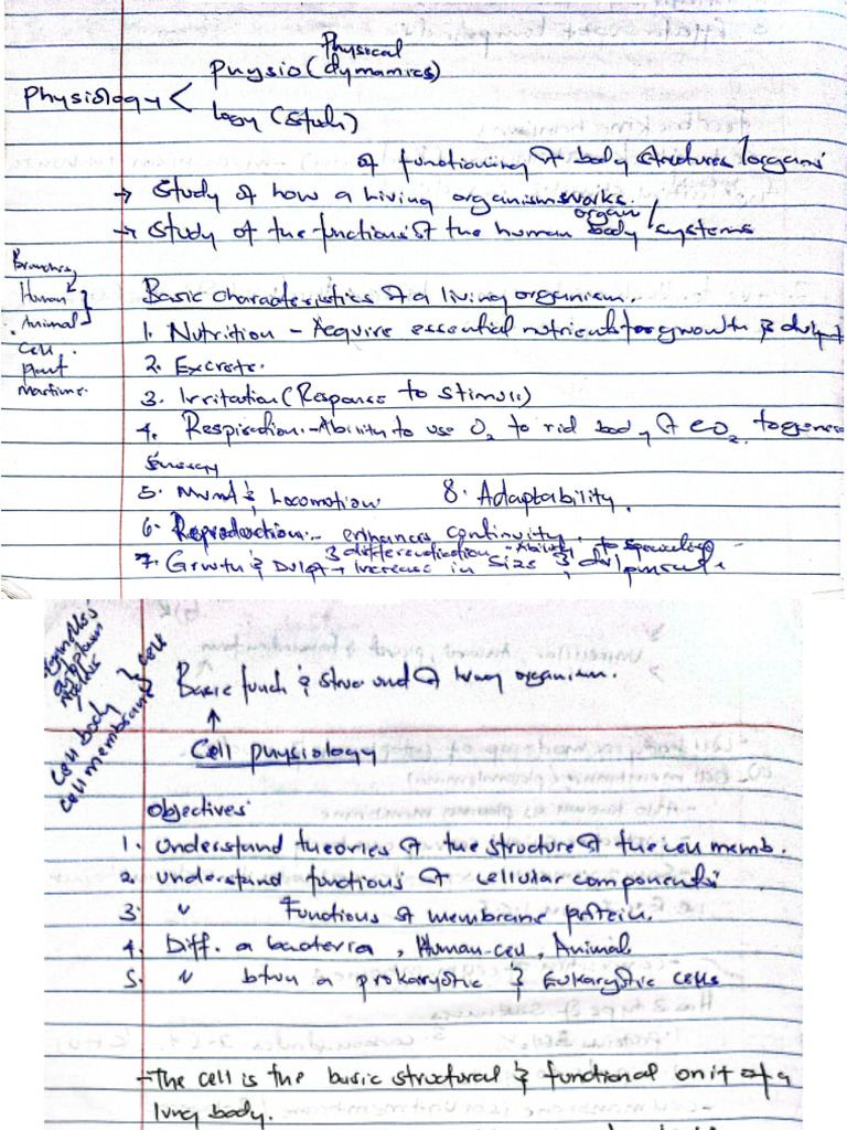 Introduction To Medical Physiology 1 | PDF