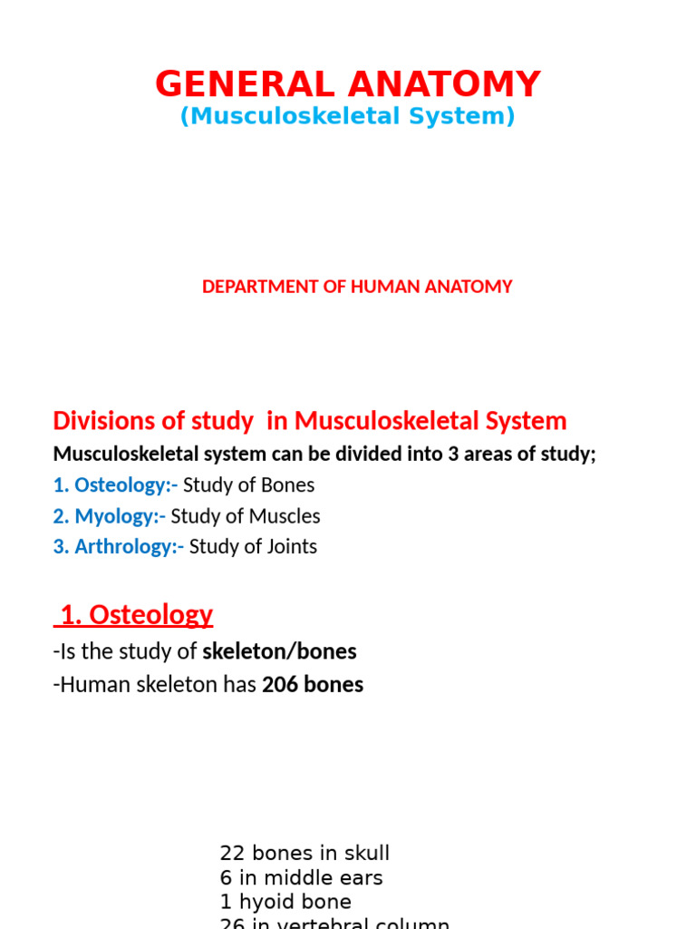 General Anatomy | PDF