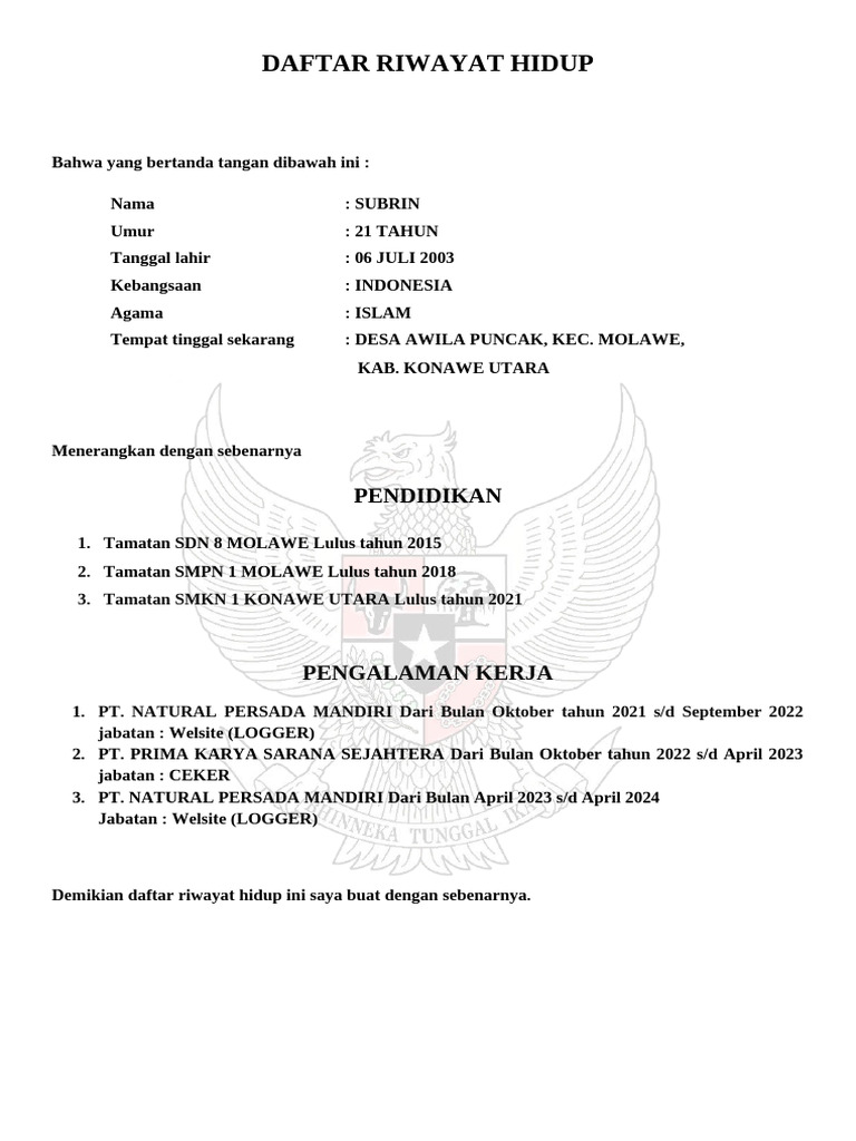 CV SUBRIN_061137 | PDF