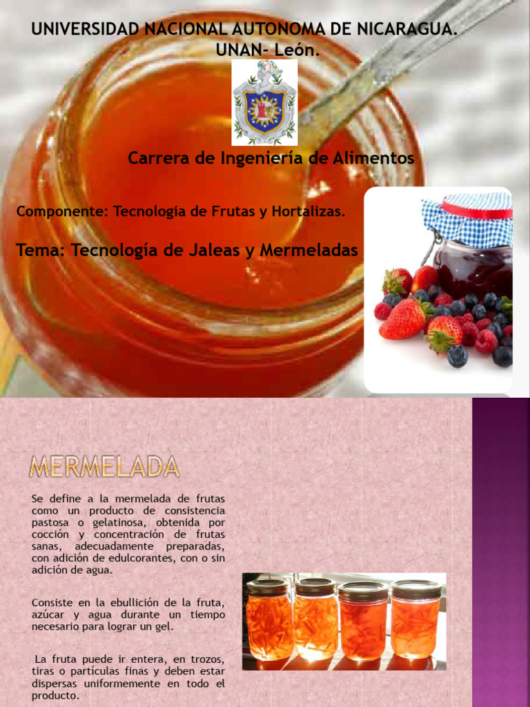 Tecnología de Jaleas y Mermeladas | PDF | Fruta | Gusto