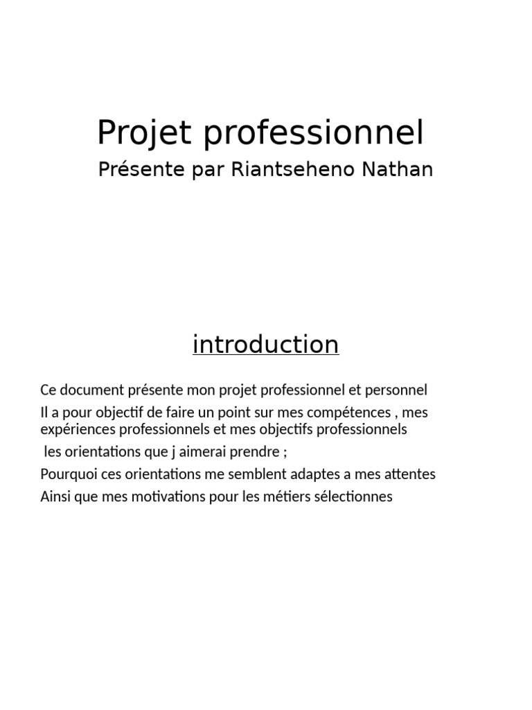 Projet Professionnel | PDF