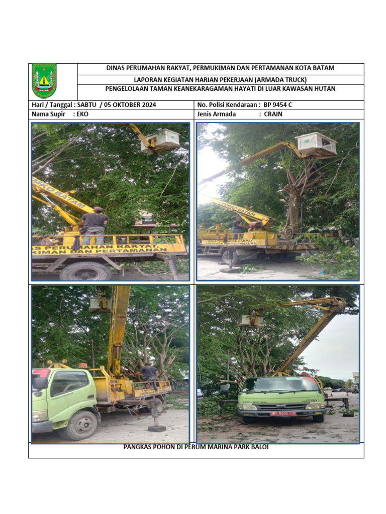 05 Dan 07 Oktober 2024 Sabtu Dan Senin Laporan Harian Potong Pohon | PDF