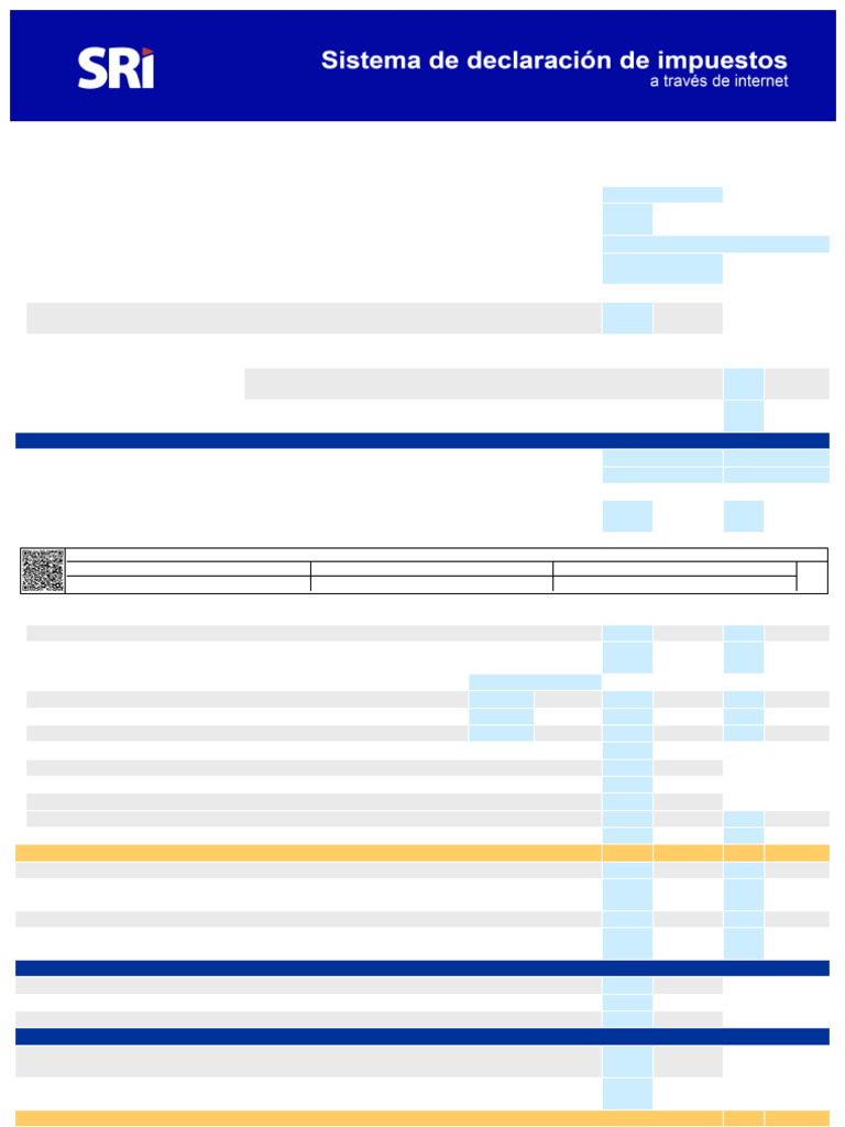 Declaracion 872635032882 | PDF