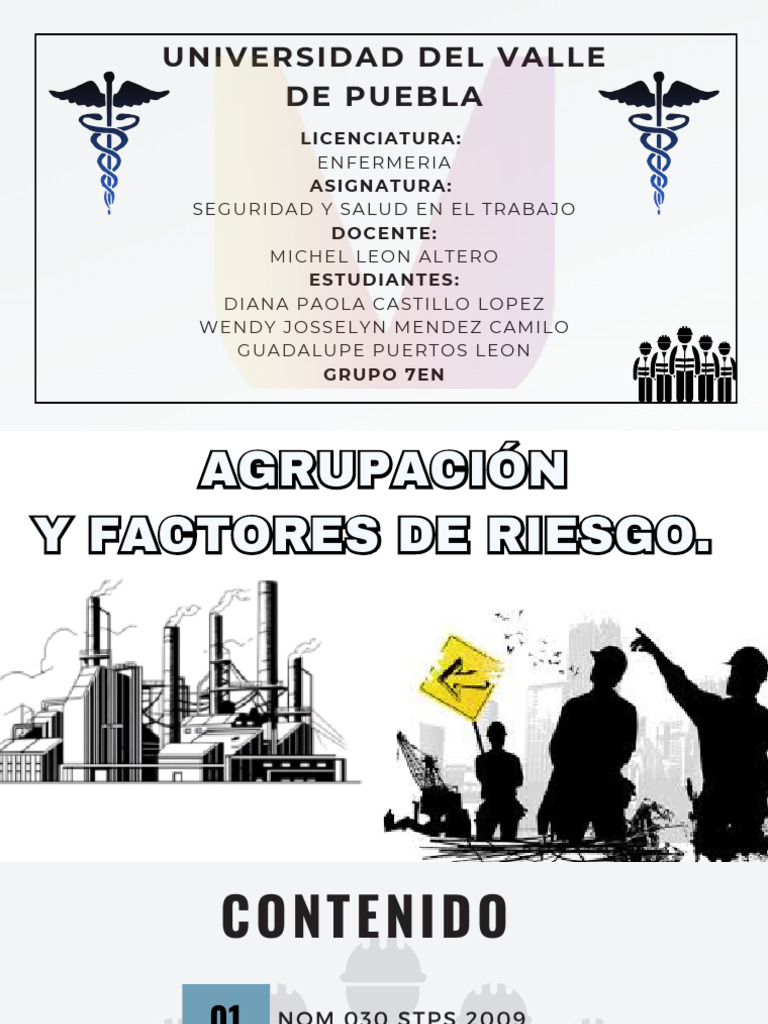 Presentacion Factor de Riesgo | PDF