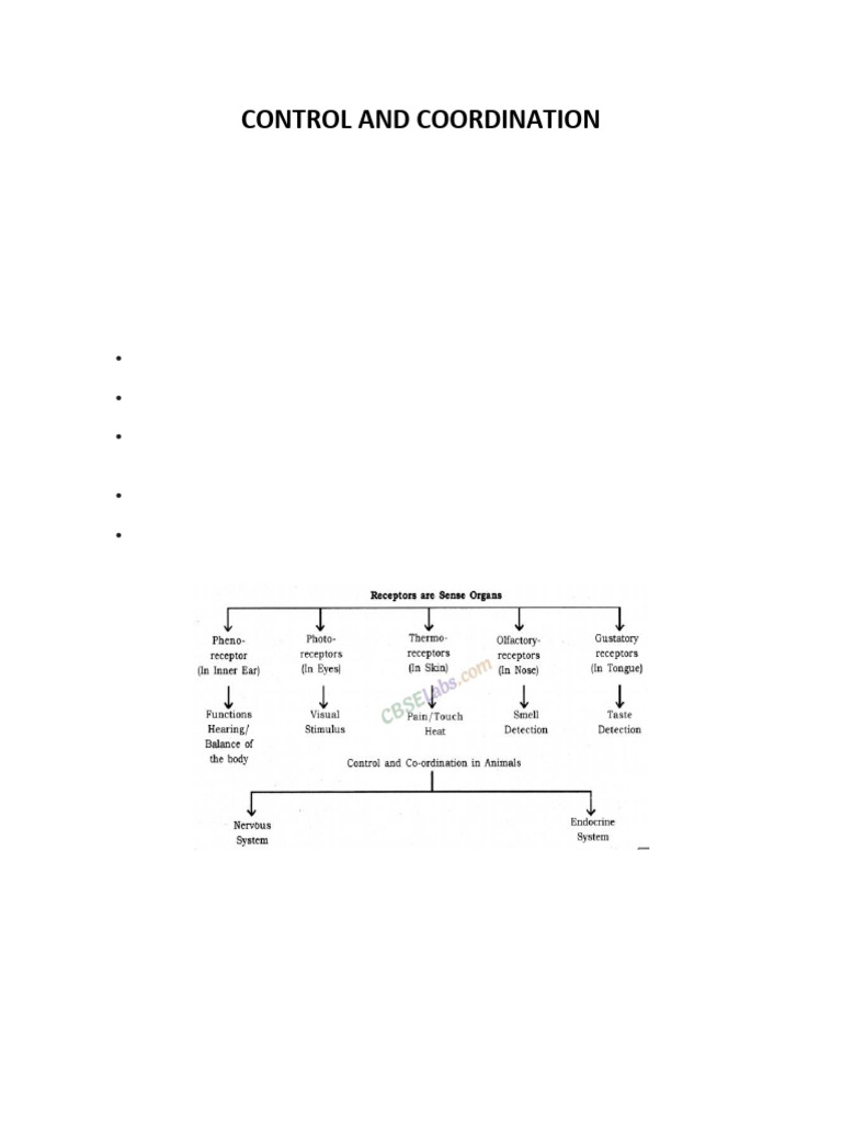 Control and Coordination Class 10 | PDF