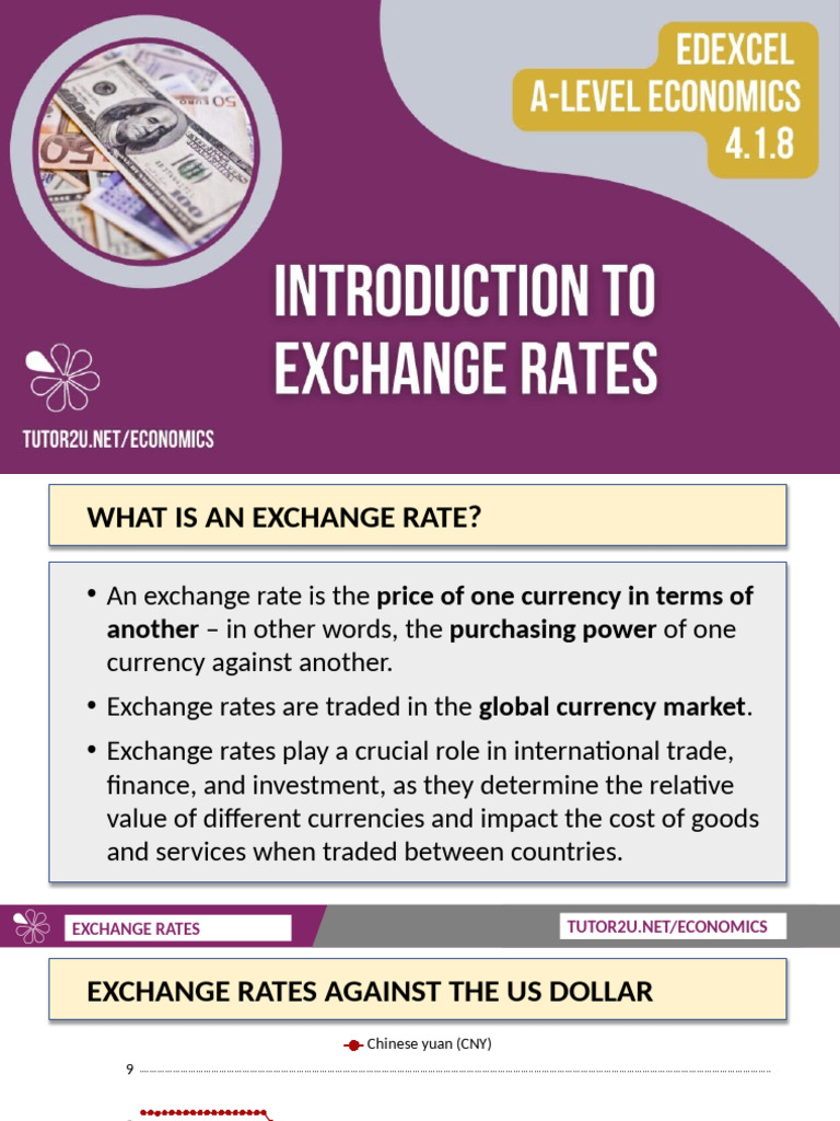 4 1 8 Exchange Rates Introduction | PDF