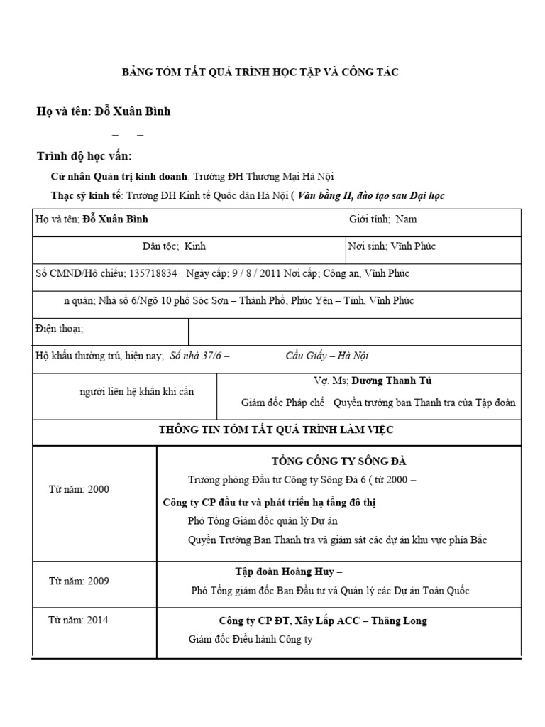 CV Đ Xuân Bình (TGĐ) | PDF