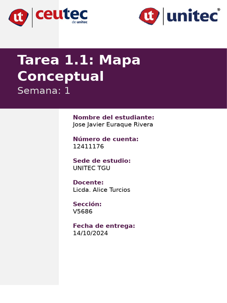 Tarea 1.1 Mapa conceptual | PDF